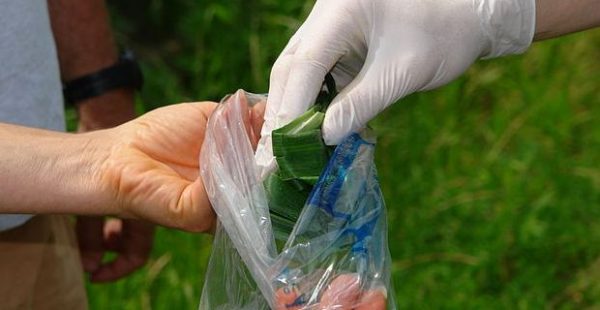 297 scientists, experts sign statement: GMOs not proven safe | We Are ...