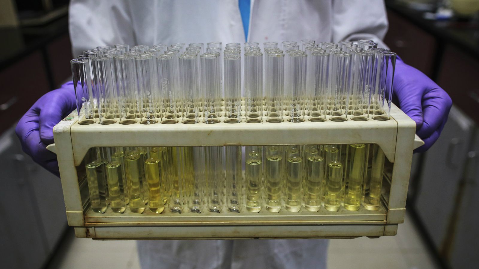 Nearly all of our medical research is wrong | We Are Change