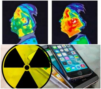 California Court Orders Environmental Health Organization To Disclose ...