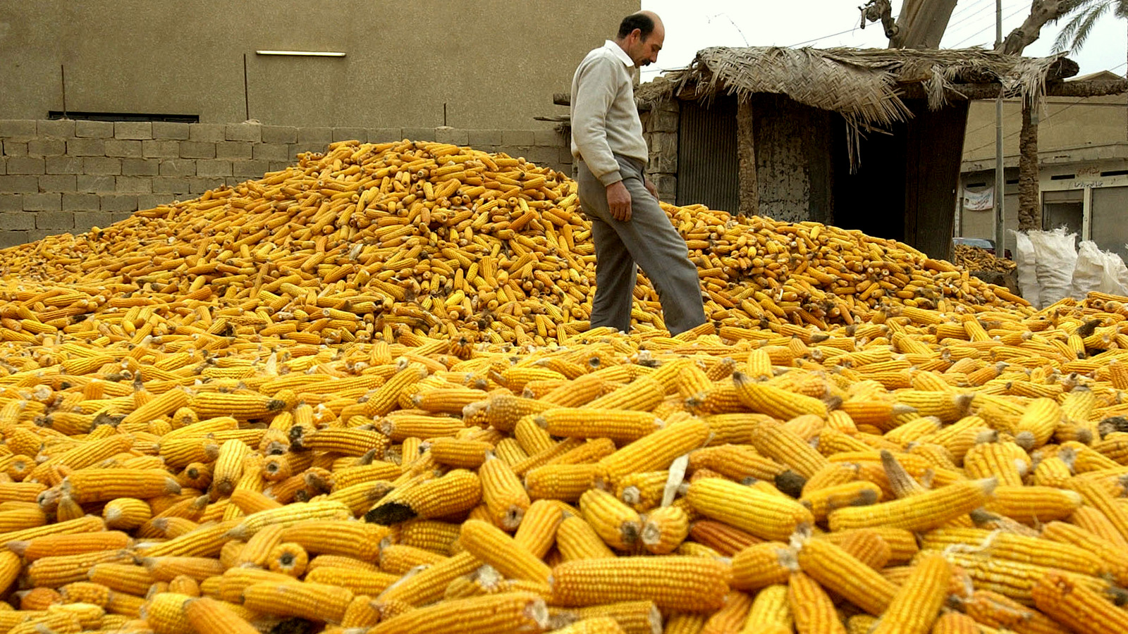 Henry Kissinger’s Food Occupation Of Iraq Continues | We Are Change