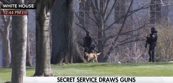 Secret Service Has Drawn Their Weapons At The White House | We Are Change