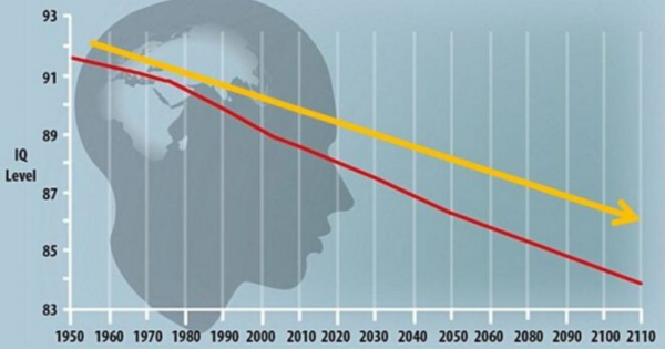 Idiocracy Explained: New Study Finds Western Diet Impairs Brain Function