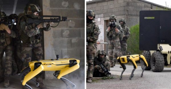 Boston Dynamics' Robot Dog Tested in War-Training Exercise