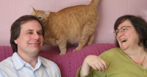 Snopes Suspends Co-Founder for Mass Plagiarism, Staff Revolts