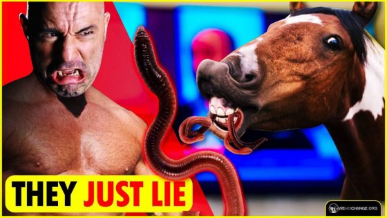 HOLY COW! Joe Rogan Just Obliterated The MSM Narrative!