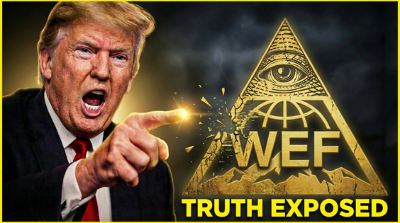 Trump Just EXPOSED Them... | We Are Change